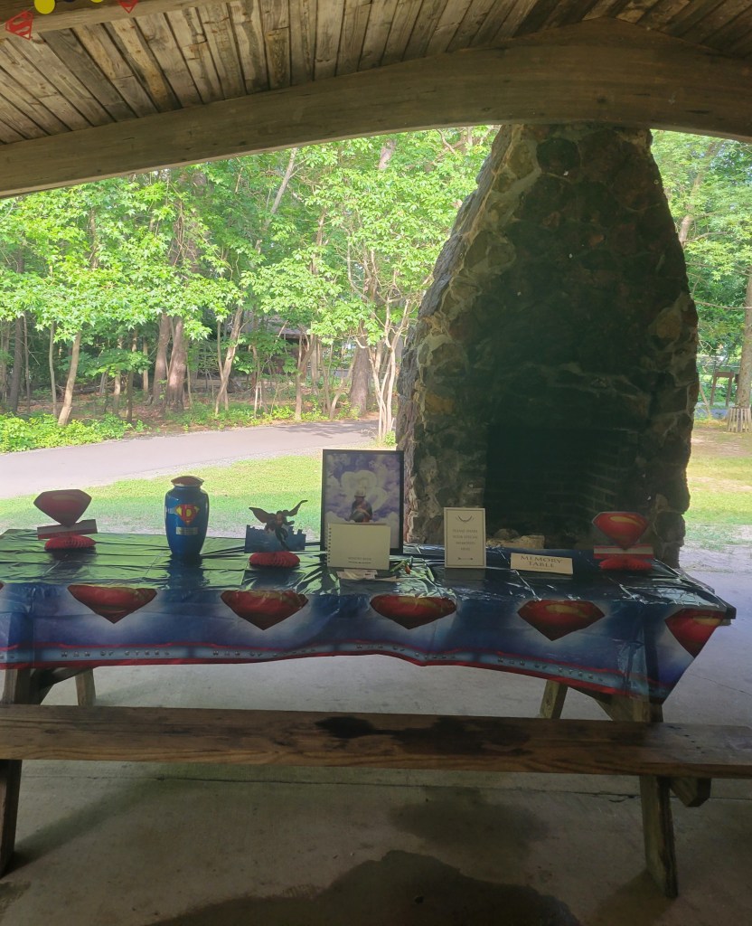 thetruesuperman – The journey of Dylan a true hero!